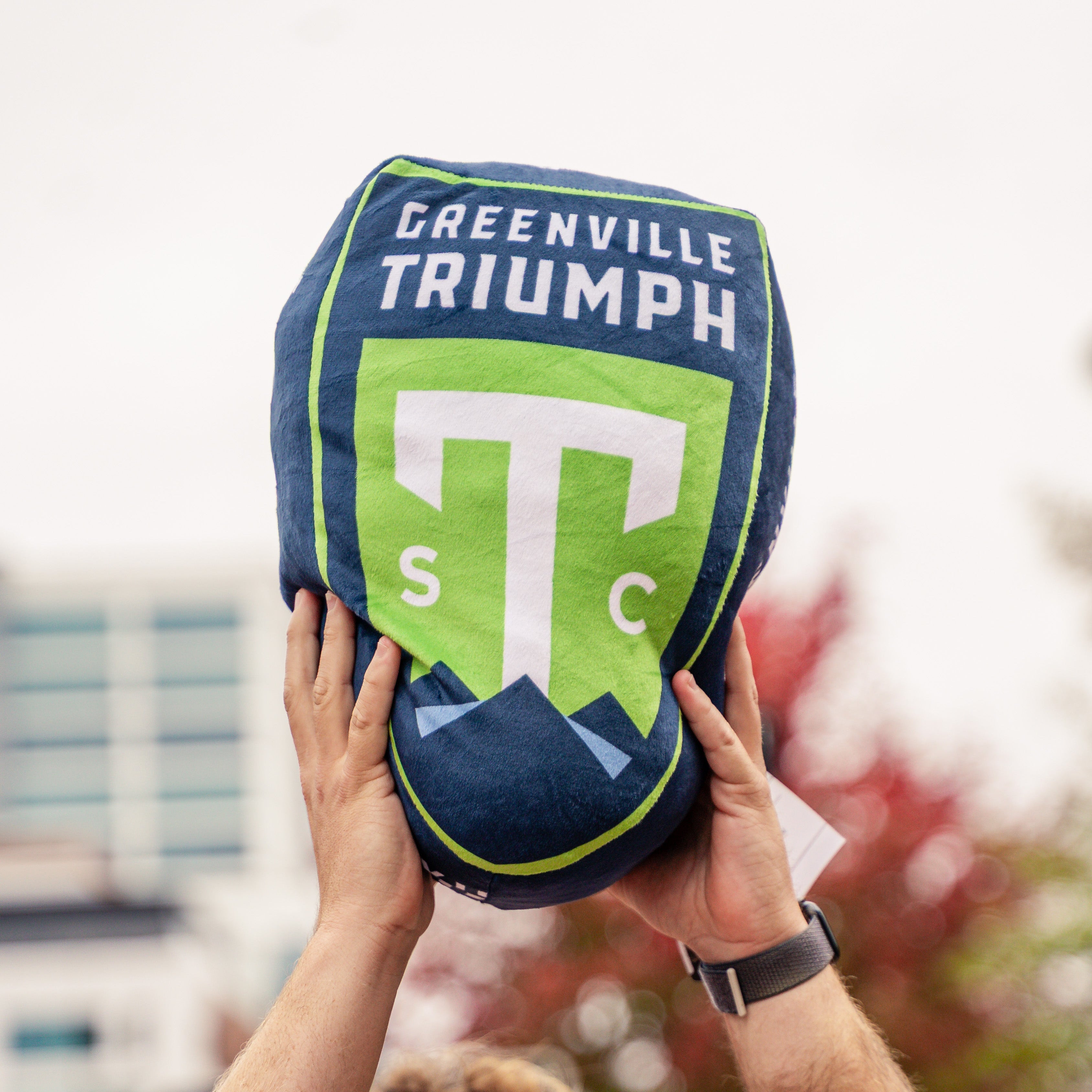 Triumph Crest Pillow – Greenville Triumph SC